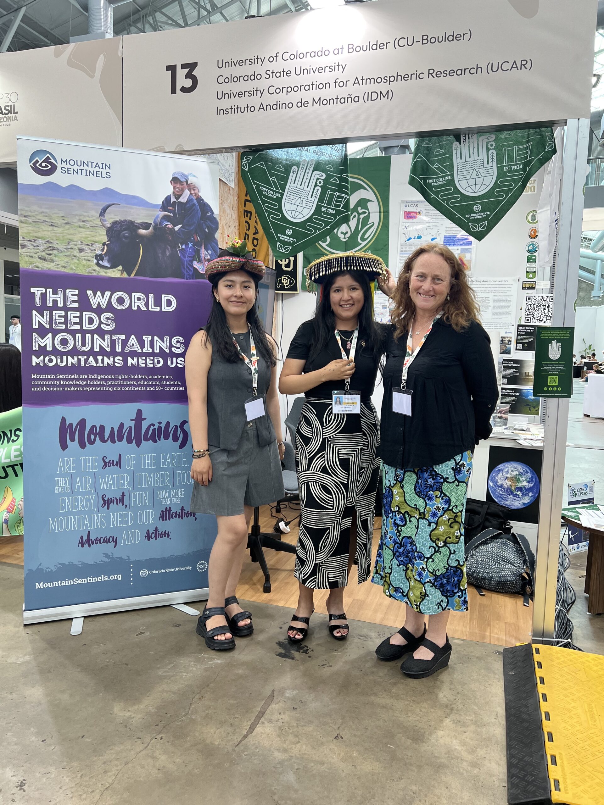 Reflections on the UNFCCC and COP30 - Mountain Sentinels